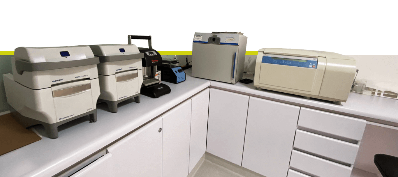 Áreas y Técnicas | Genetix